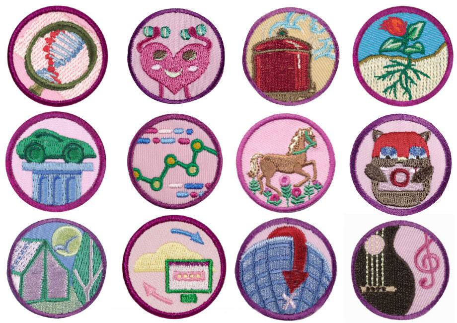 Junior Girl Scout Badges Quiz - By bobkitty1123